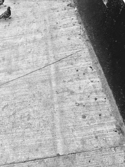 URBAN Collective – Sublime Studios